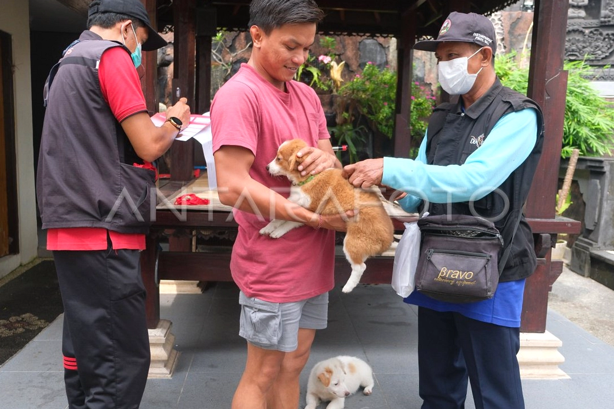 Denpasar Luncurkan Vaksinasi Rabies Rumah-ke-Rumah 2026 | Bisik.id