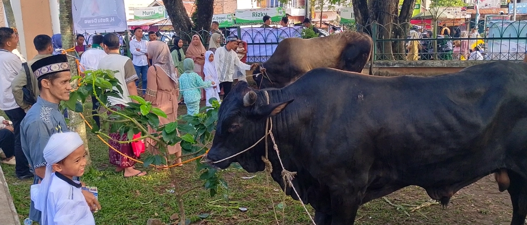Kurban Masjid Agung Palembang Distribusi ke Kelurahan 18 & 19 Ilir ...